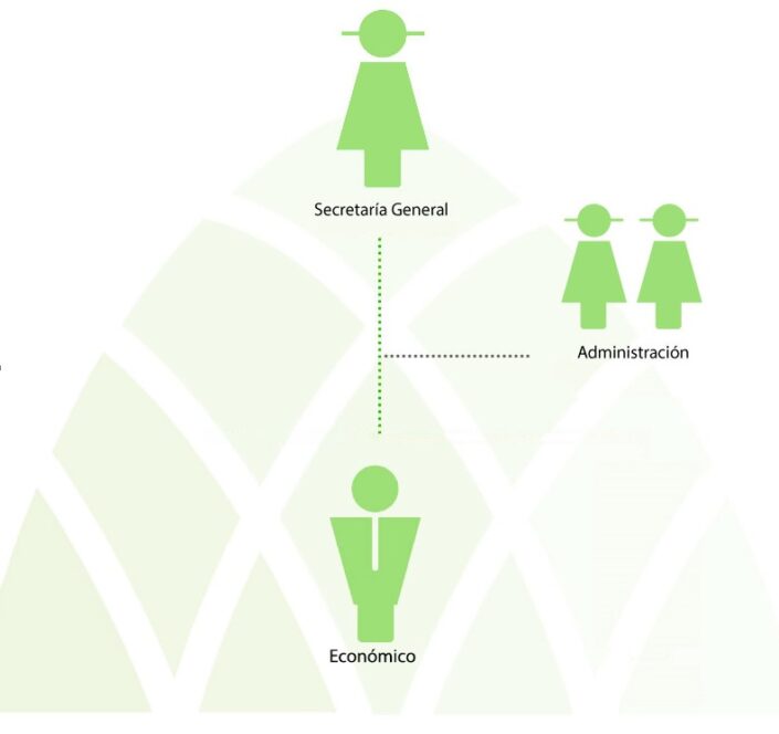 Estructura Interna - UNACC